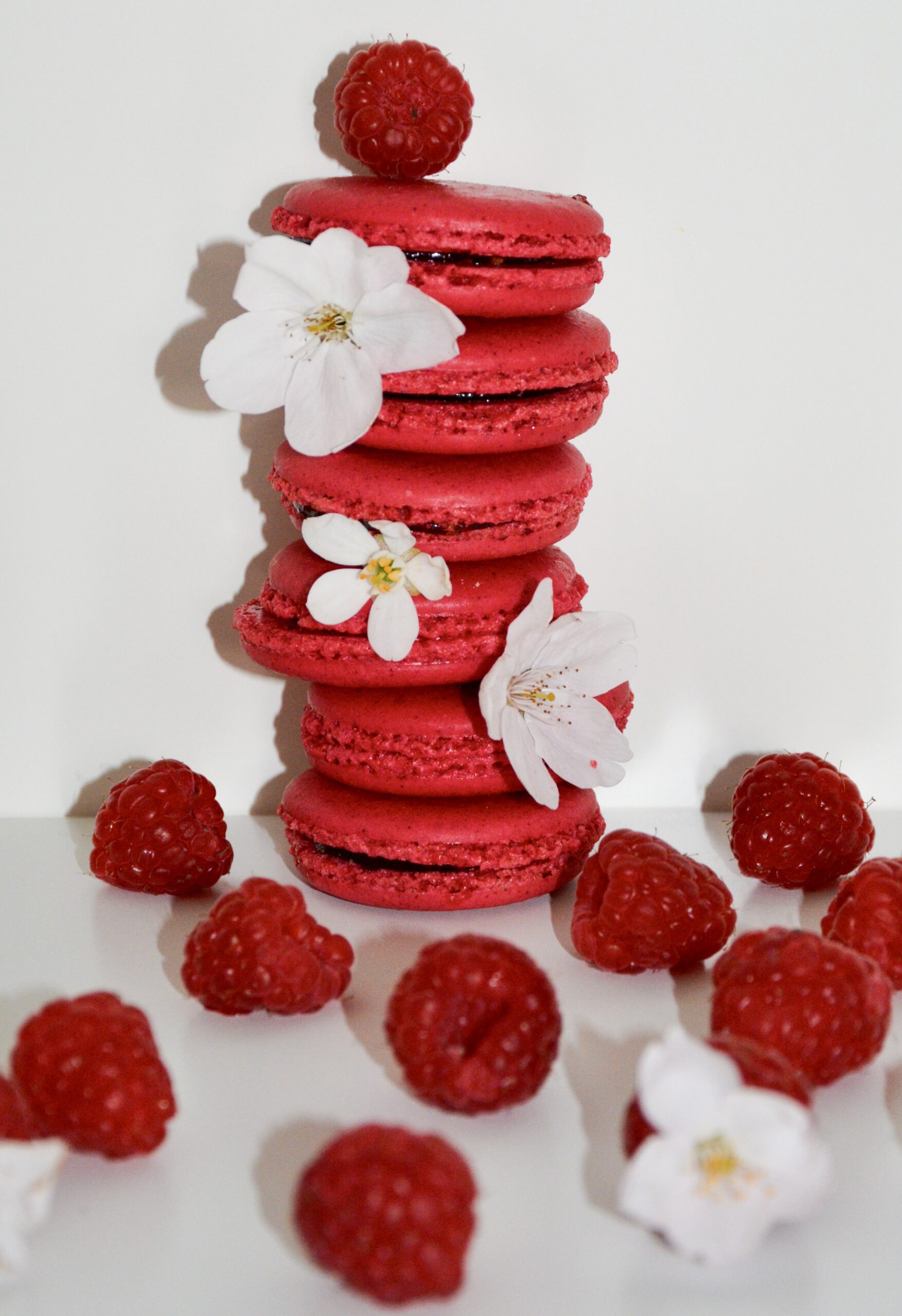 Macaron framboise – Aux gâteaux d'Ivan